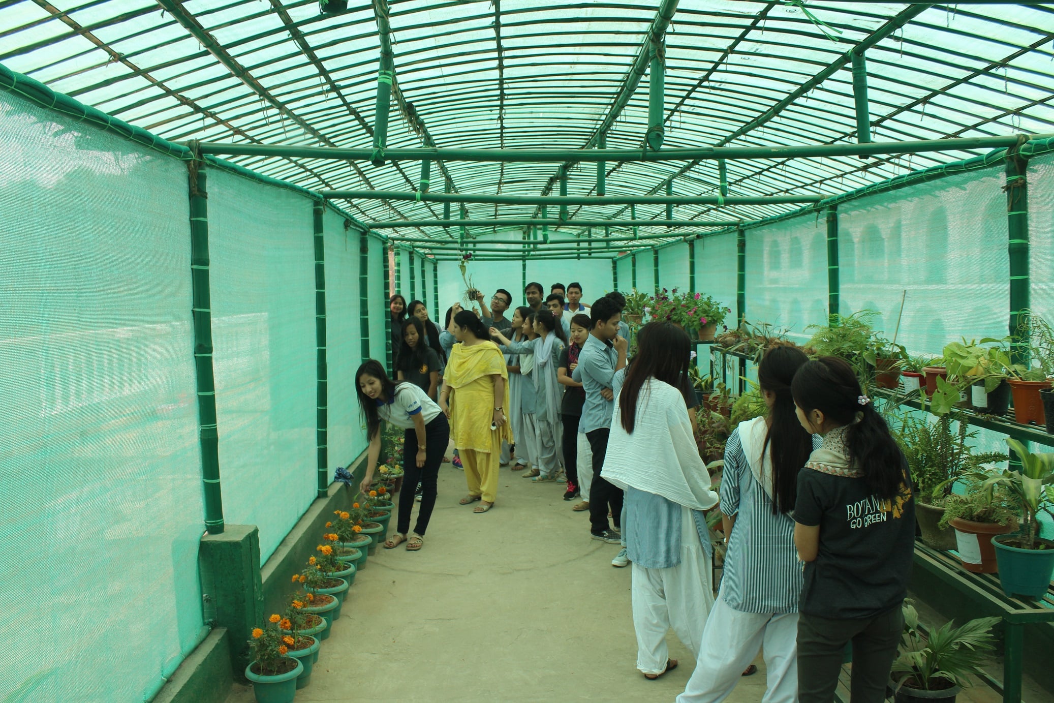 Department of Botany - University of Science and Technology, Meghalaya ...
